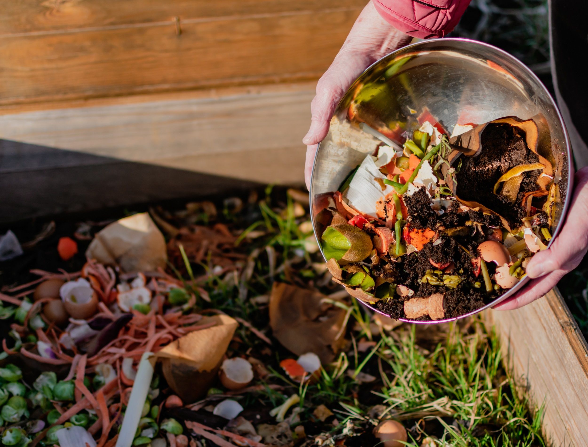 Creating a Zero Waste Oasis in Your Backyard