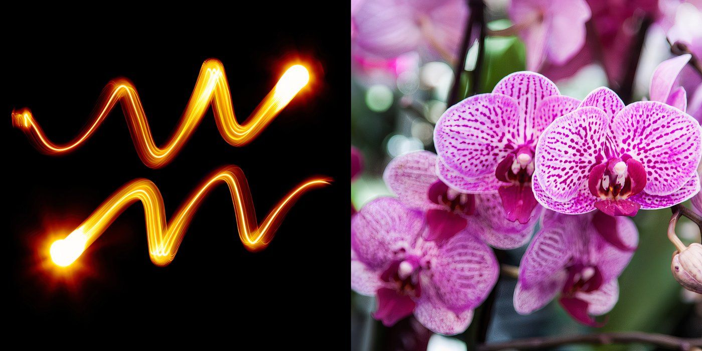 Zodiac Sign Flowers: 12 Stunning Options For Your Garden Design