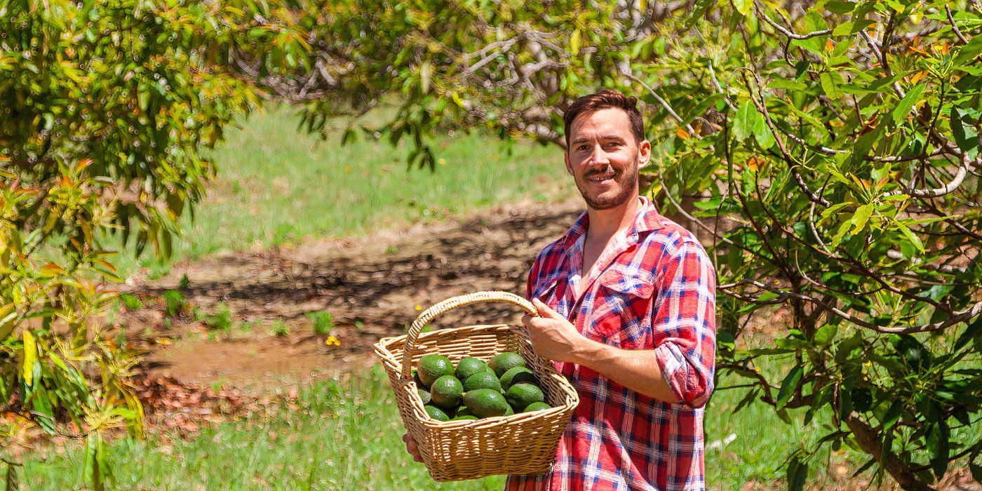 Avocados: The Superfood With a Dark Secret