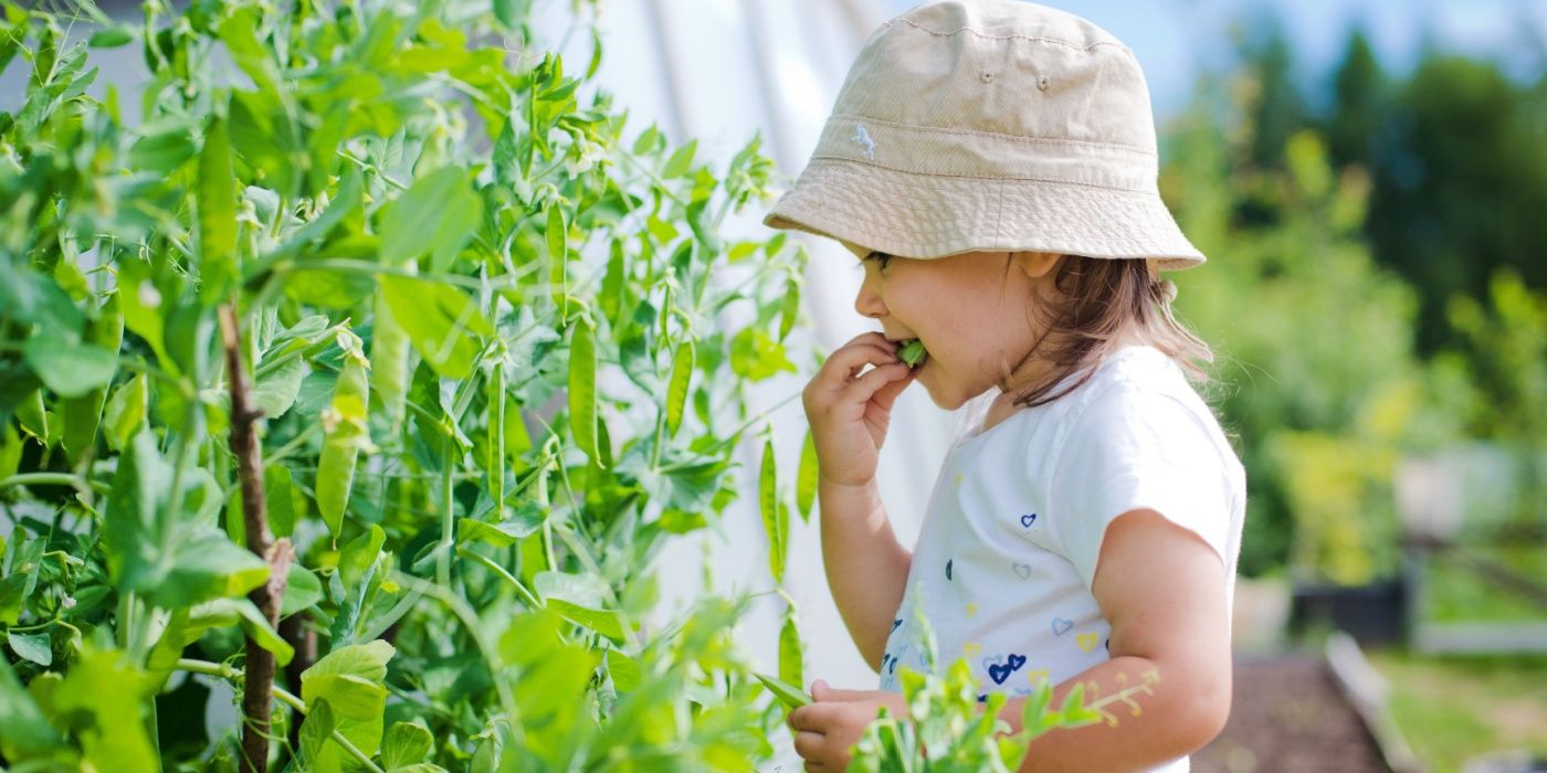 Designing a Sensory Garden for Kids: A Complete Guide