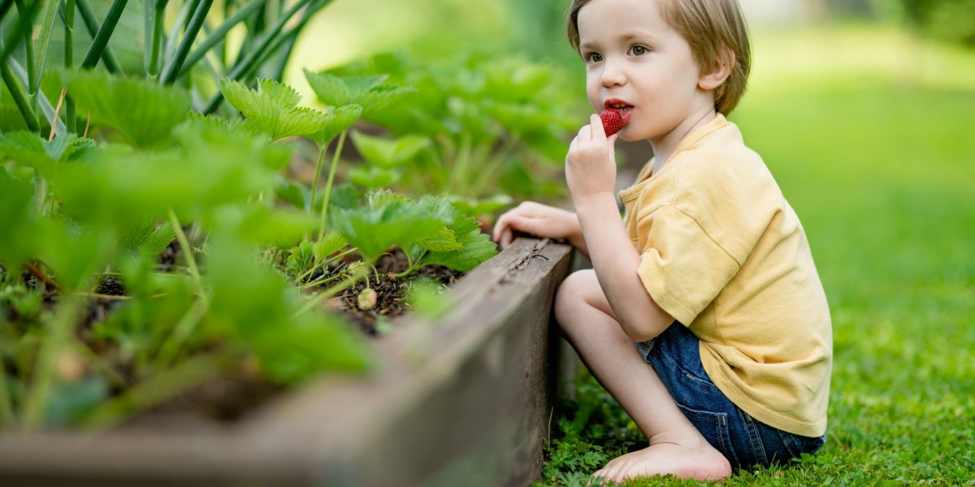 7 Beginner-Friendly Plants for Kids' First Garden