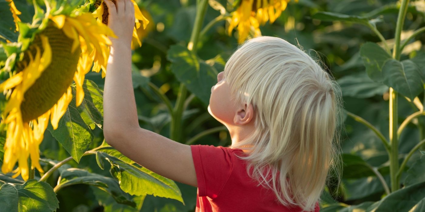 7 Beginner-Friendly Plants for Kids' First Garden