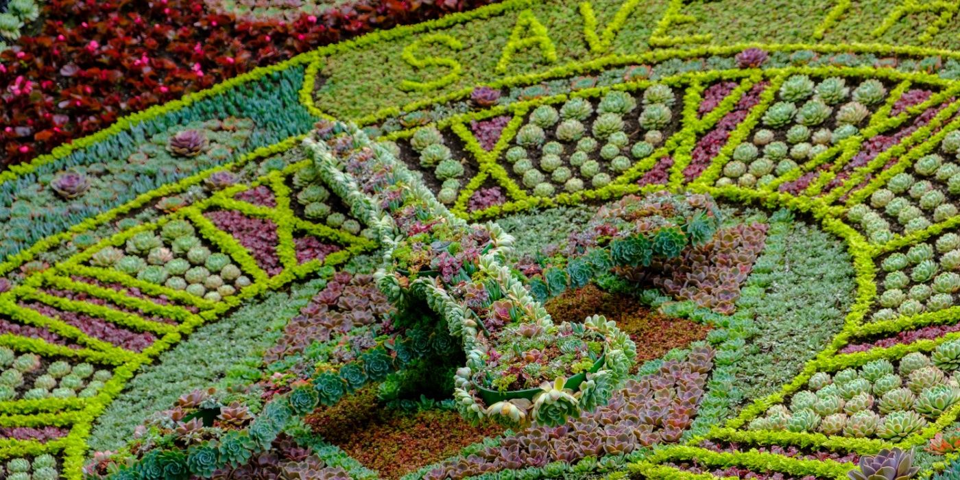 How Was the Giant Flower Clock in Edinburgh Made?
