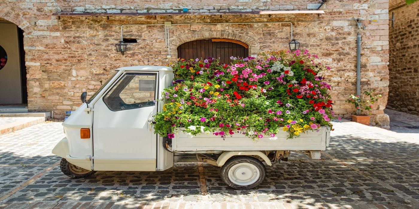 Discover the Charm of Mobile Summer Flower Trucks