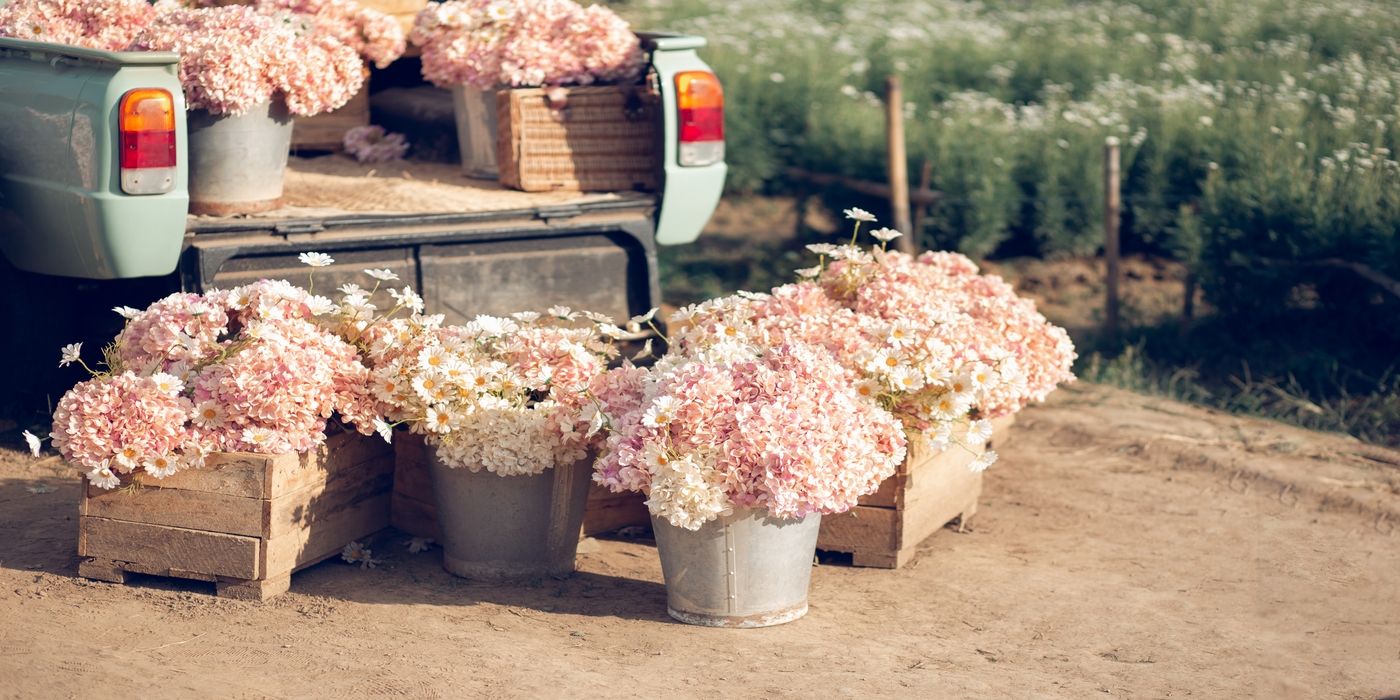 Discover the Charm of Mobile Summer Flower Trucks