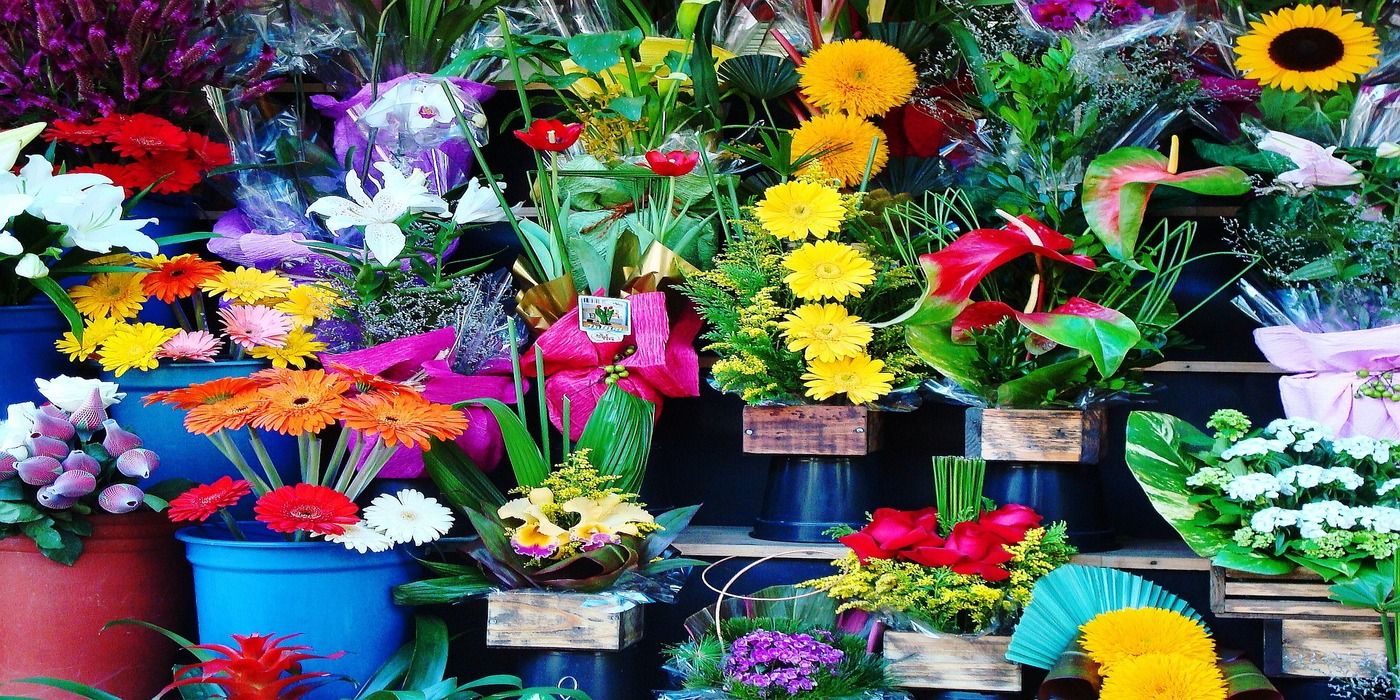 Premier Flower Shops with Superior Quality and Service