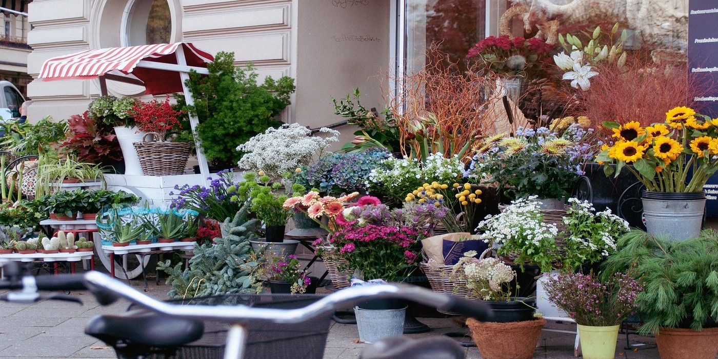 Premier Flower Shops with Superior Quality and Service