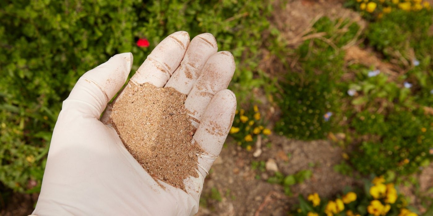 Top 6 Organic Fertilizers to Enrich Your Garden