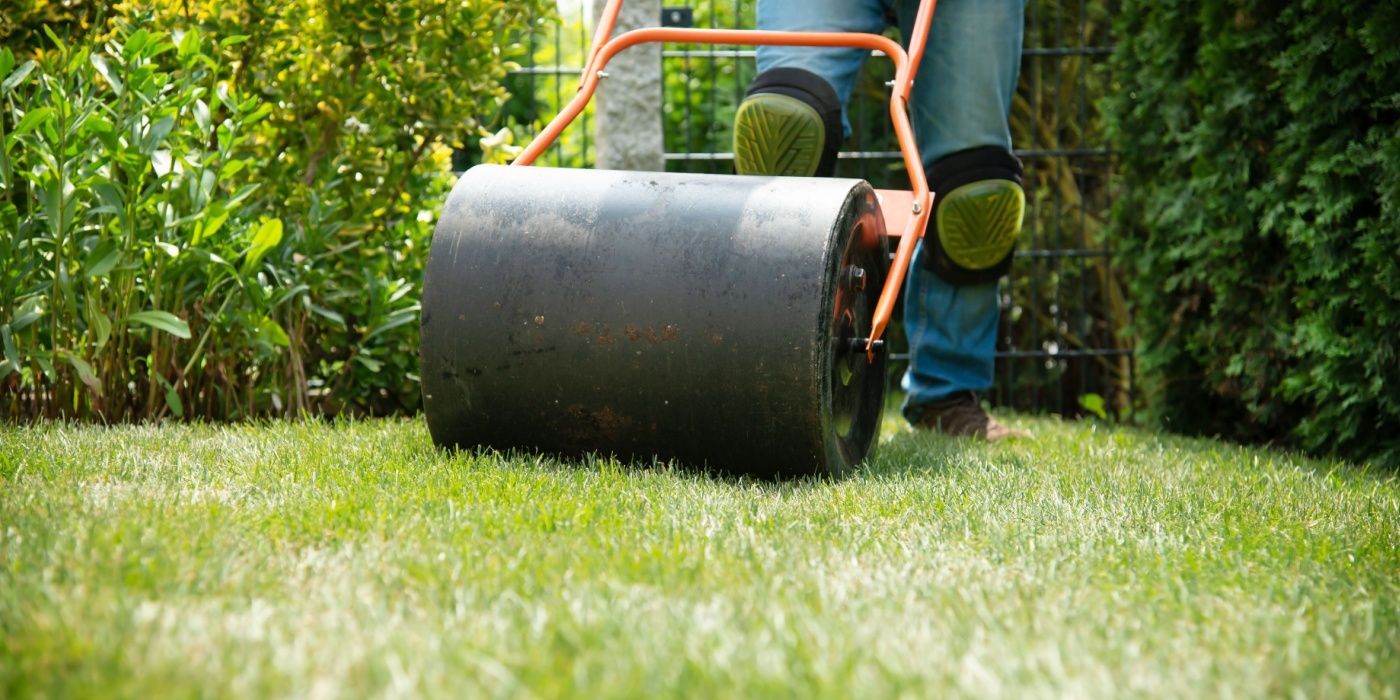 How Often and Why You Should Roll Your Lawn