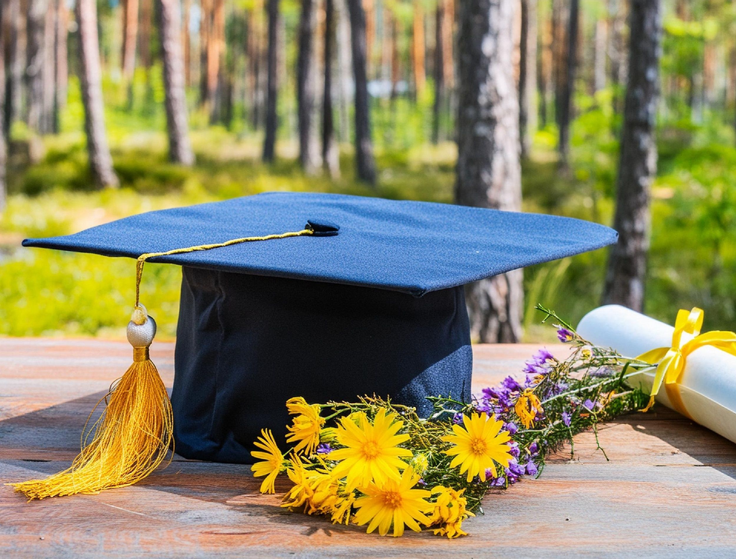 11 Tips for Growing Cherry Tomatoes in Pots