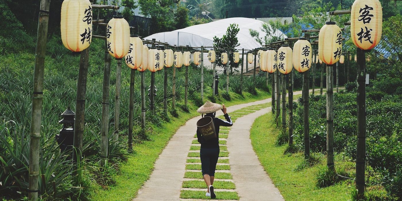 Beyond the Ordinary: 9 Creative Garden Path Ideas