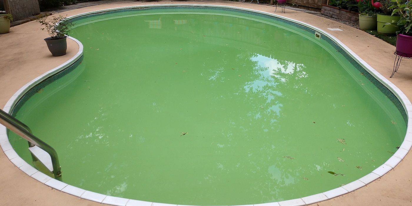 Why Is Your Pool Water Green?
