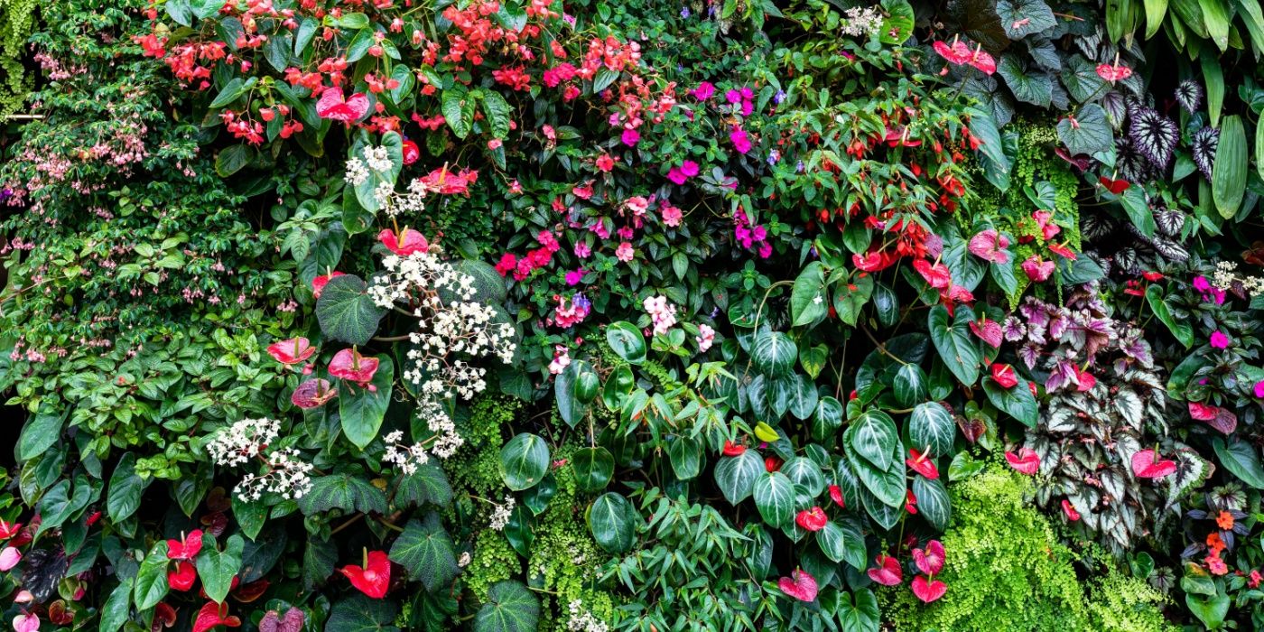 Create Stunning Flower Walls in Your Spring Garden with These 7 Steps