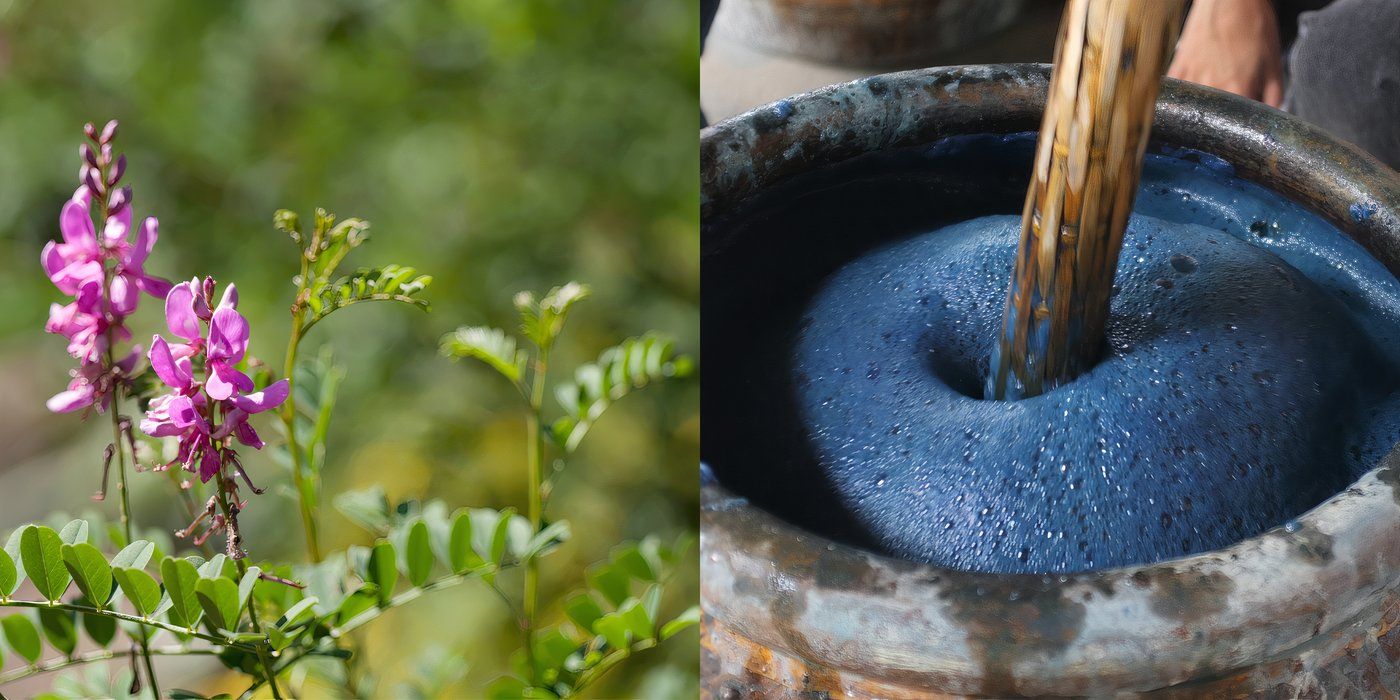 Natural Plant Dyes: Create a Dye Garden in Your Backyard