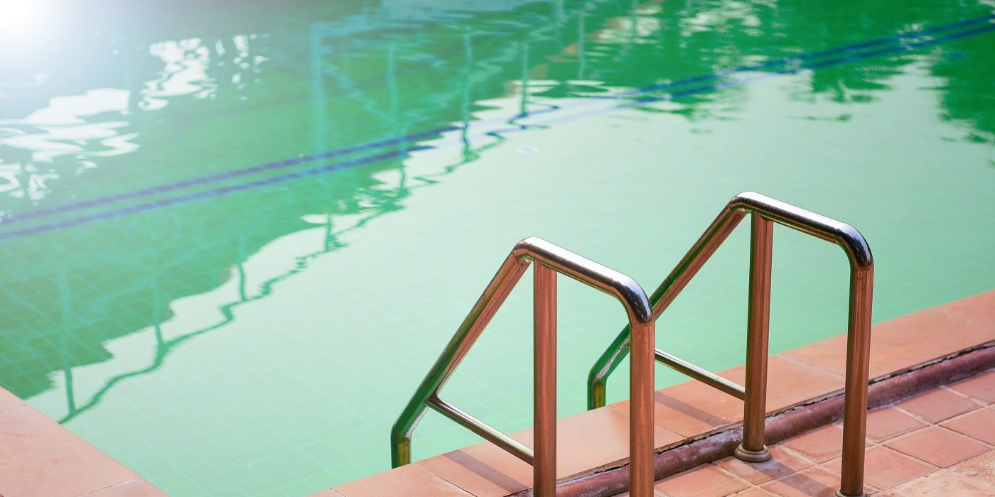 Why Is Your Pool Water Green?