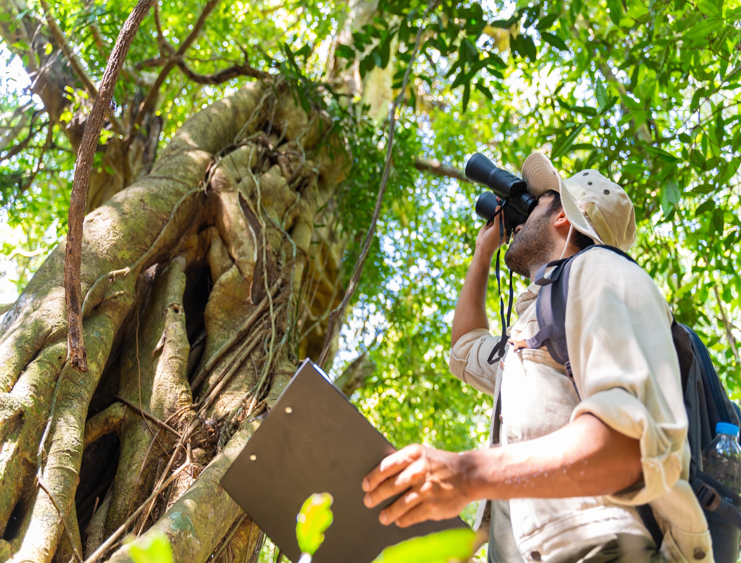A Guide to Landscape Reading for Gardeners