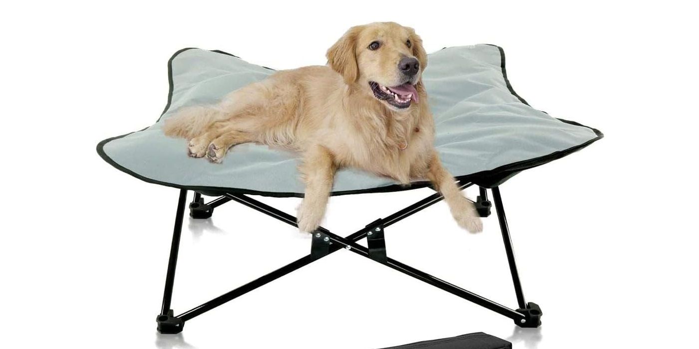 Find the Best Dog Hammock For Your Best Friend