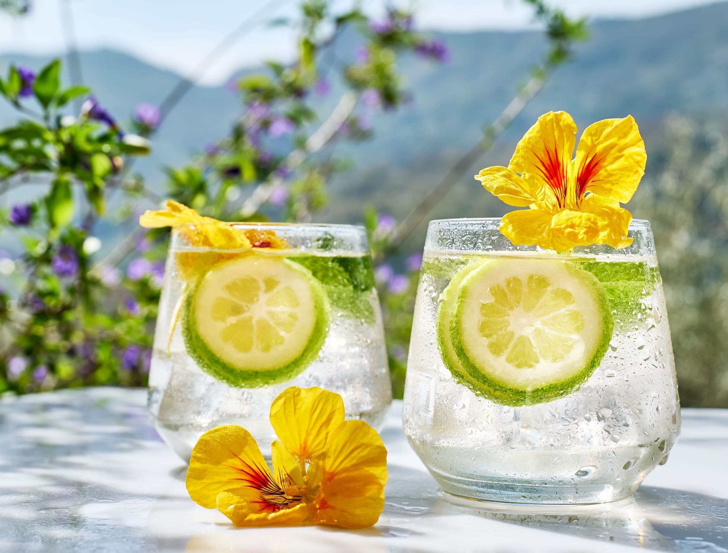 Try Refreshing Summer Drinks Recipes To Stay Cool All Season