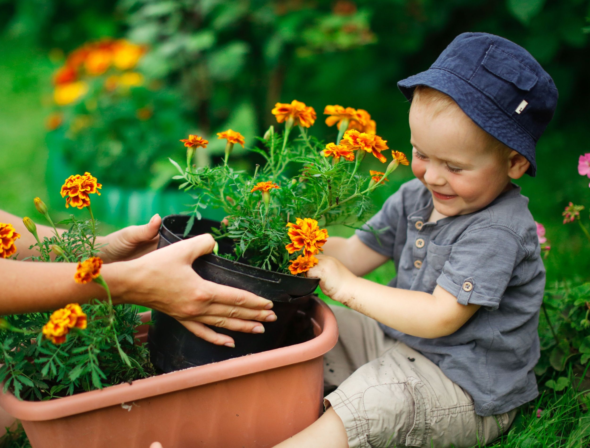 7 Beginner-Friendly Plants for Kids' First Garden