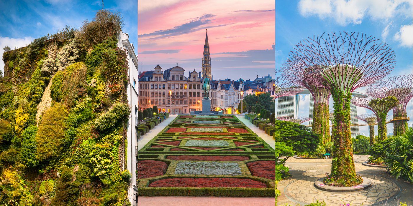 Create a Living Picture With Vibrant Plants and Flowers