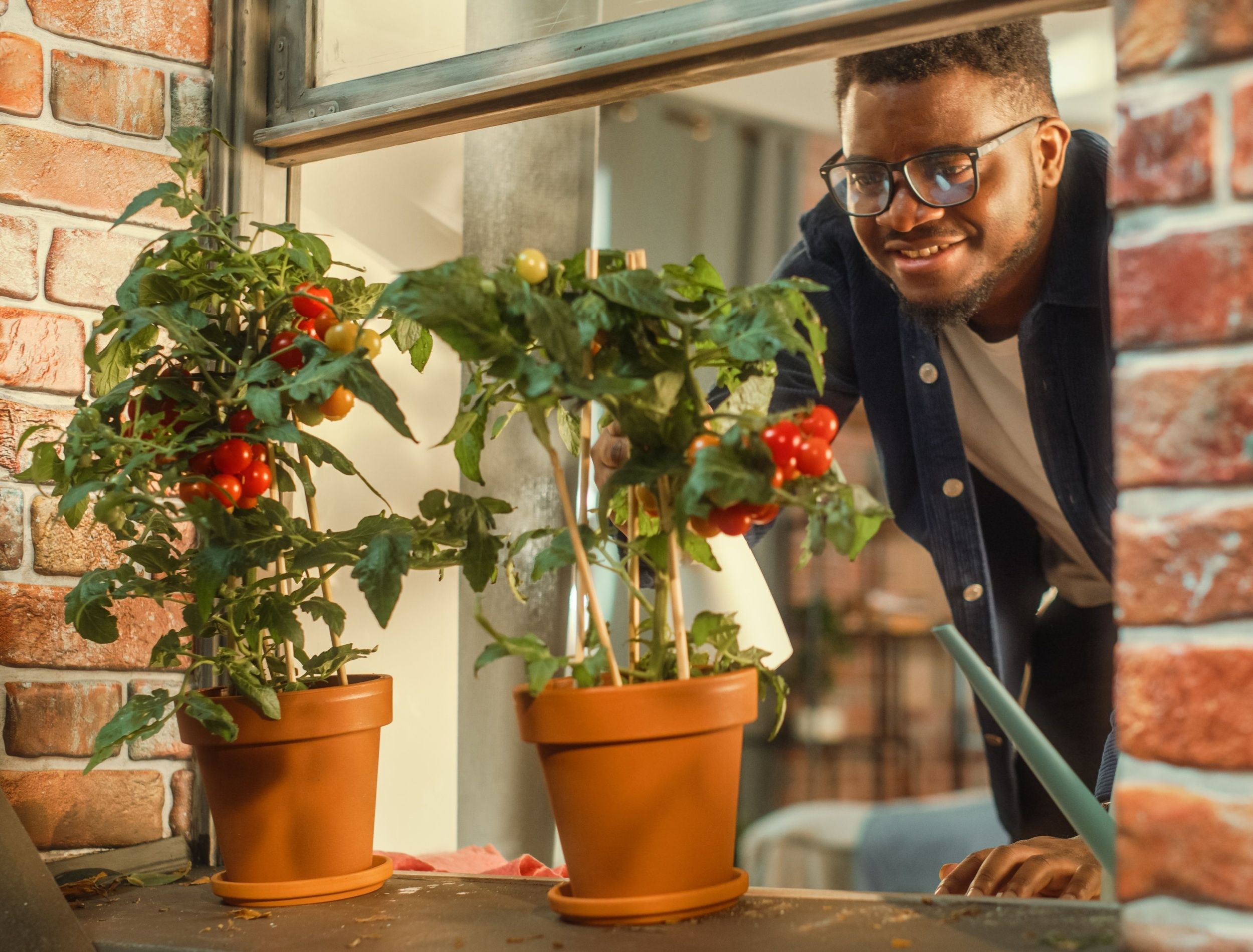 Learn How To Grow a Food Forest in Urban Spaces