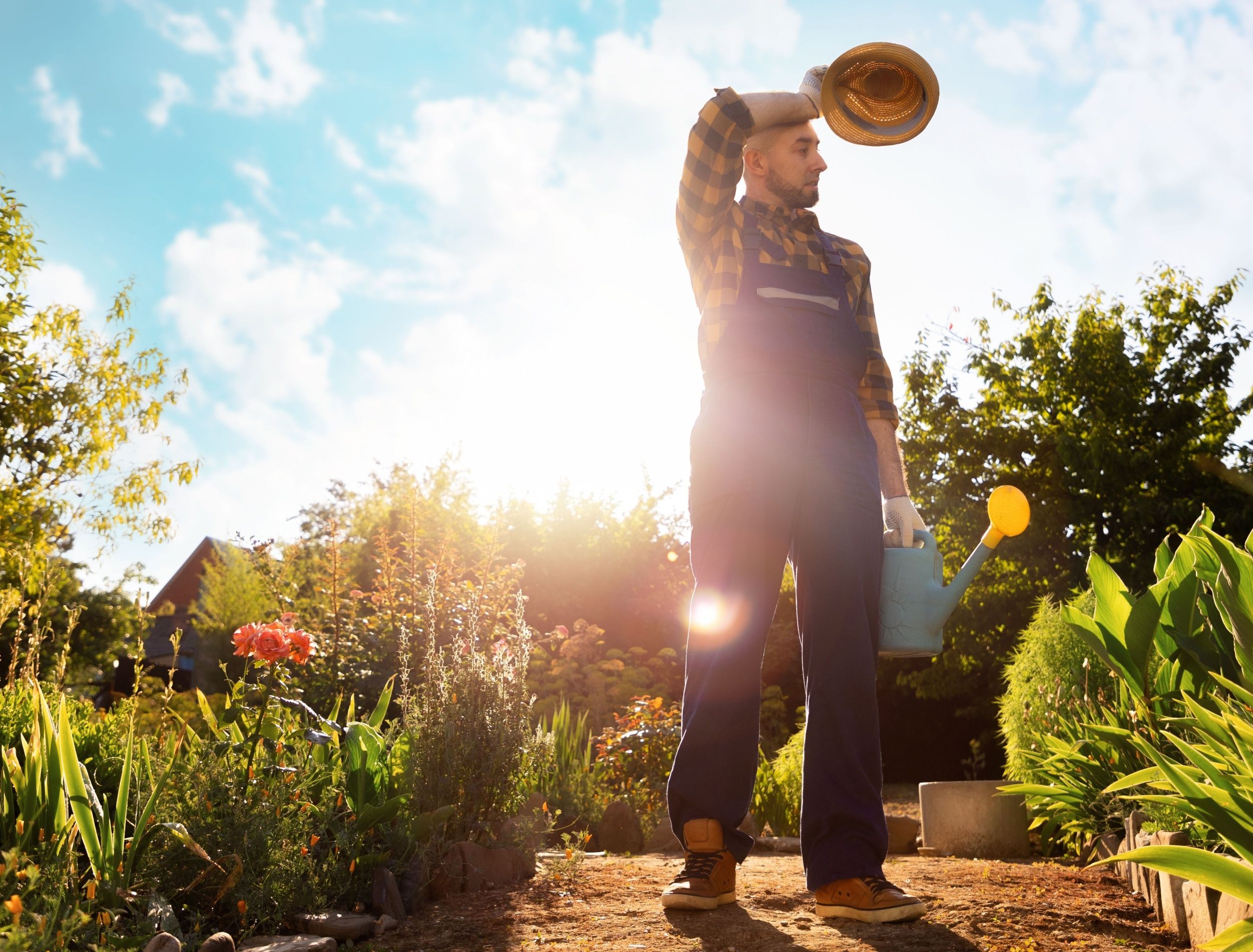 Beat the Heat While Summer Gardening in Dog Days With 6 Tips