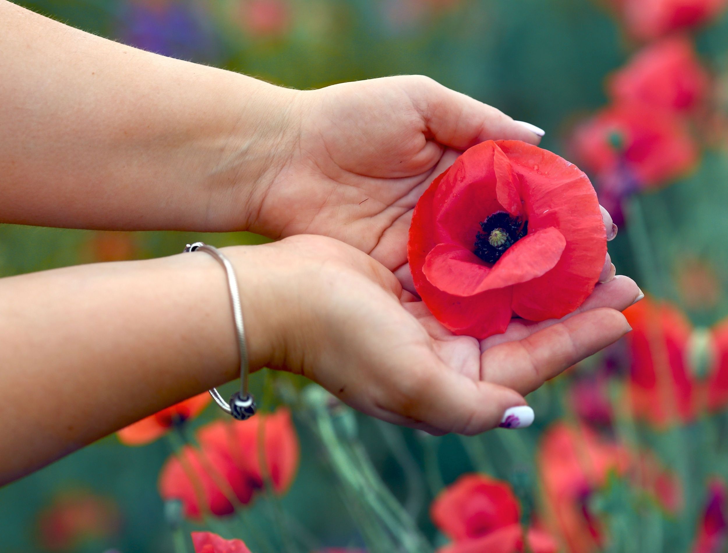 Gardening | BackyardBoss