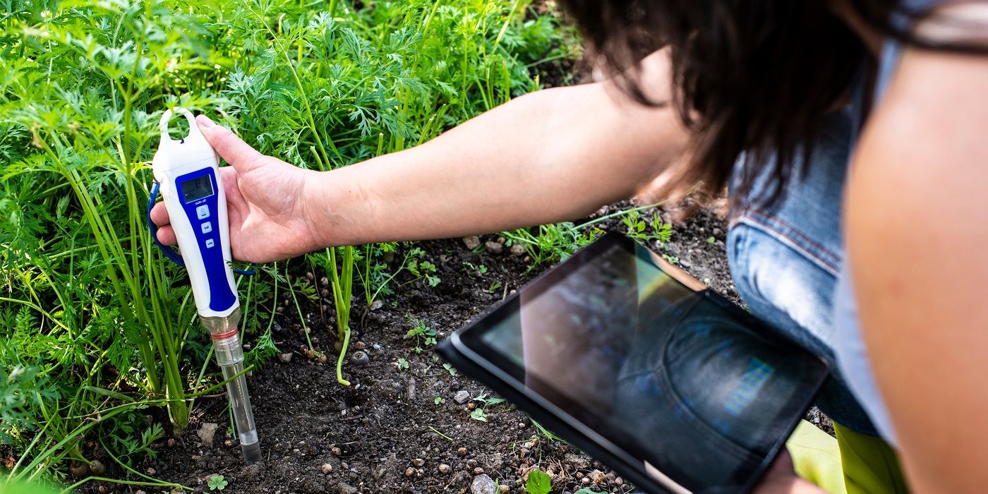 Flourish With Epsom Salt: Maximize Plant Growth and Bloom Size