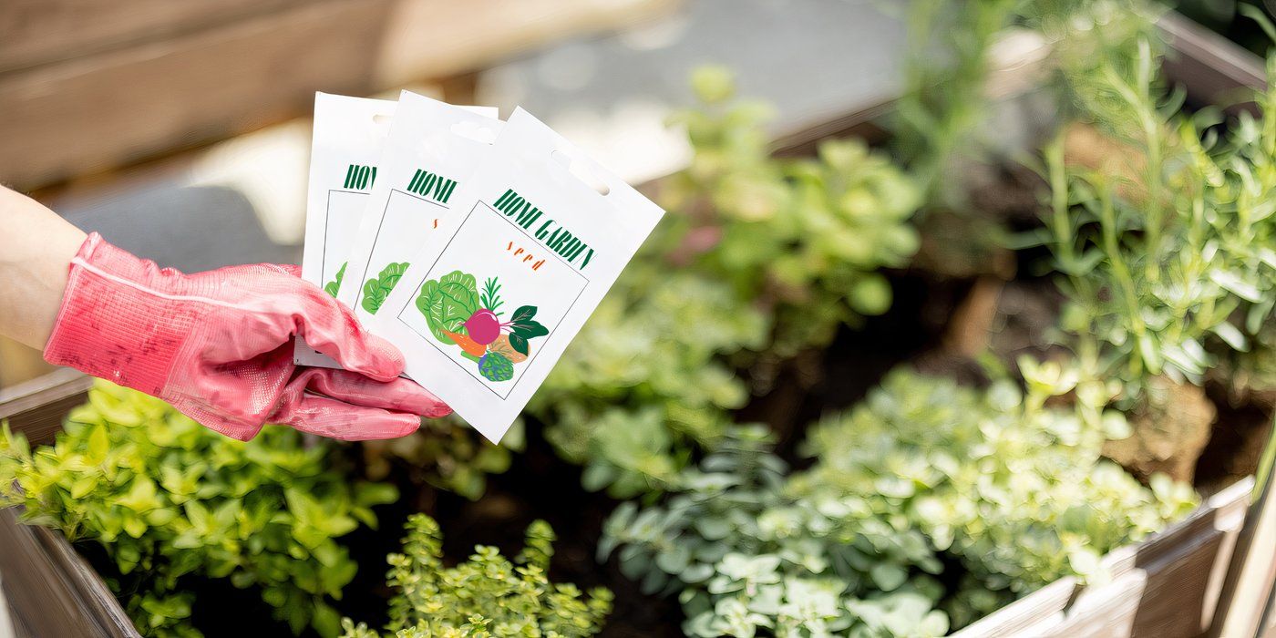 Learn How To Grow Giant Vegetables in Your Backyard Garden