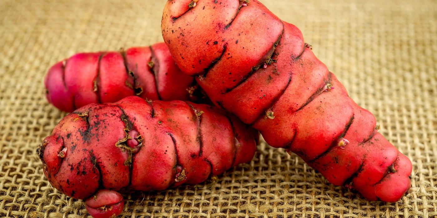 Unique Vegetables to Elevate Your Landscape