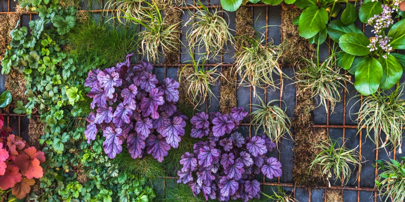 Grow a Flower Tapestry for a Beautiful Green Backdrop