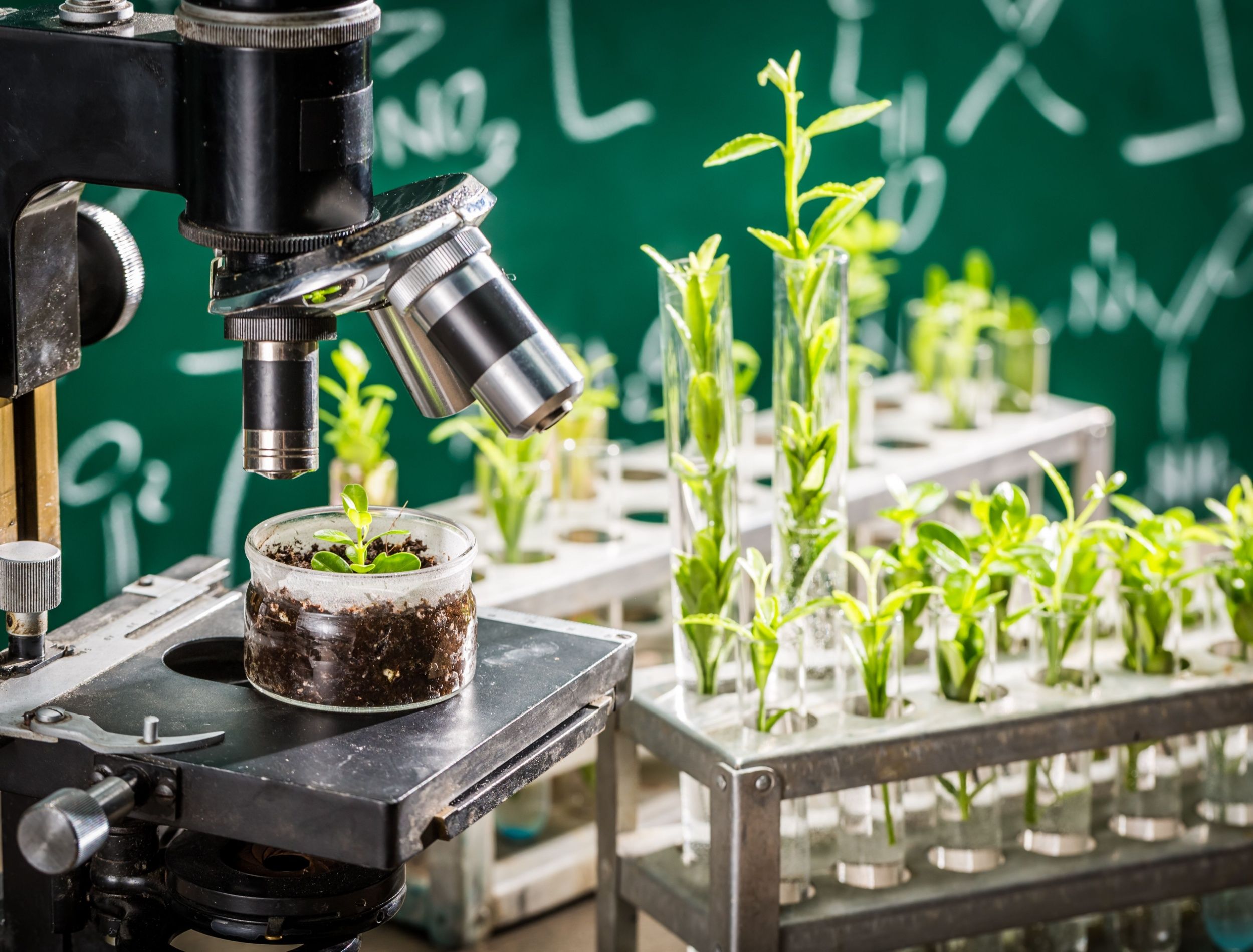 Biohacking: How Scientists Are Creating Unique Plants