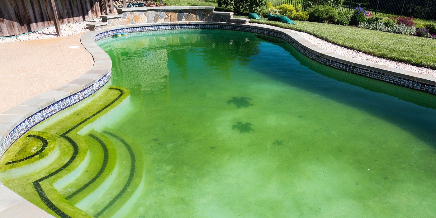 Why Is Your Pool Water Green?