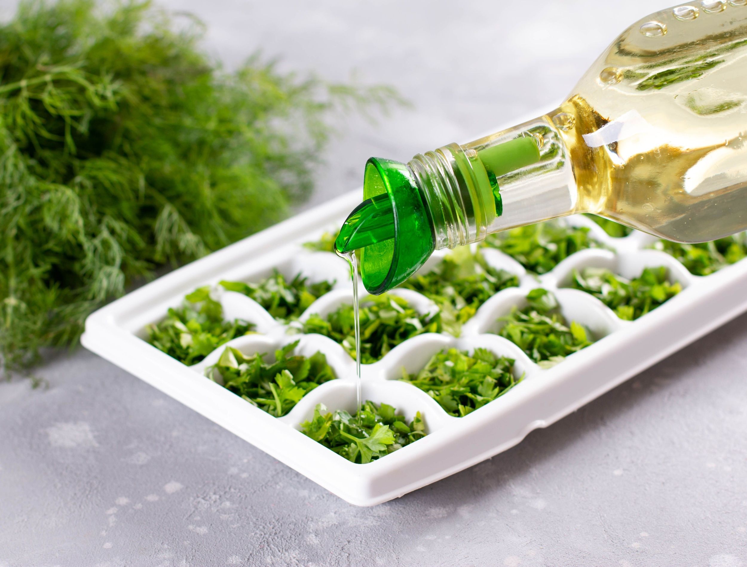 4 Ways to Preserve Herbs From Your Herb Garden