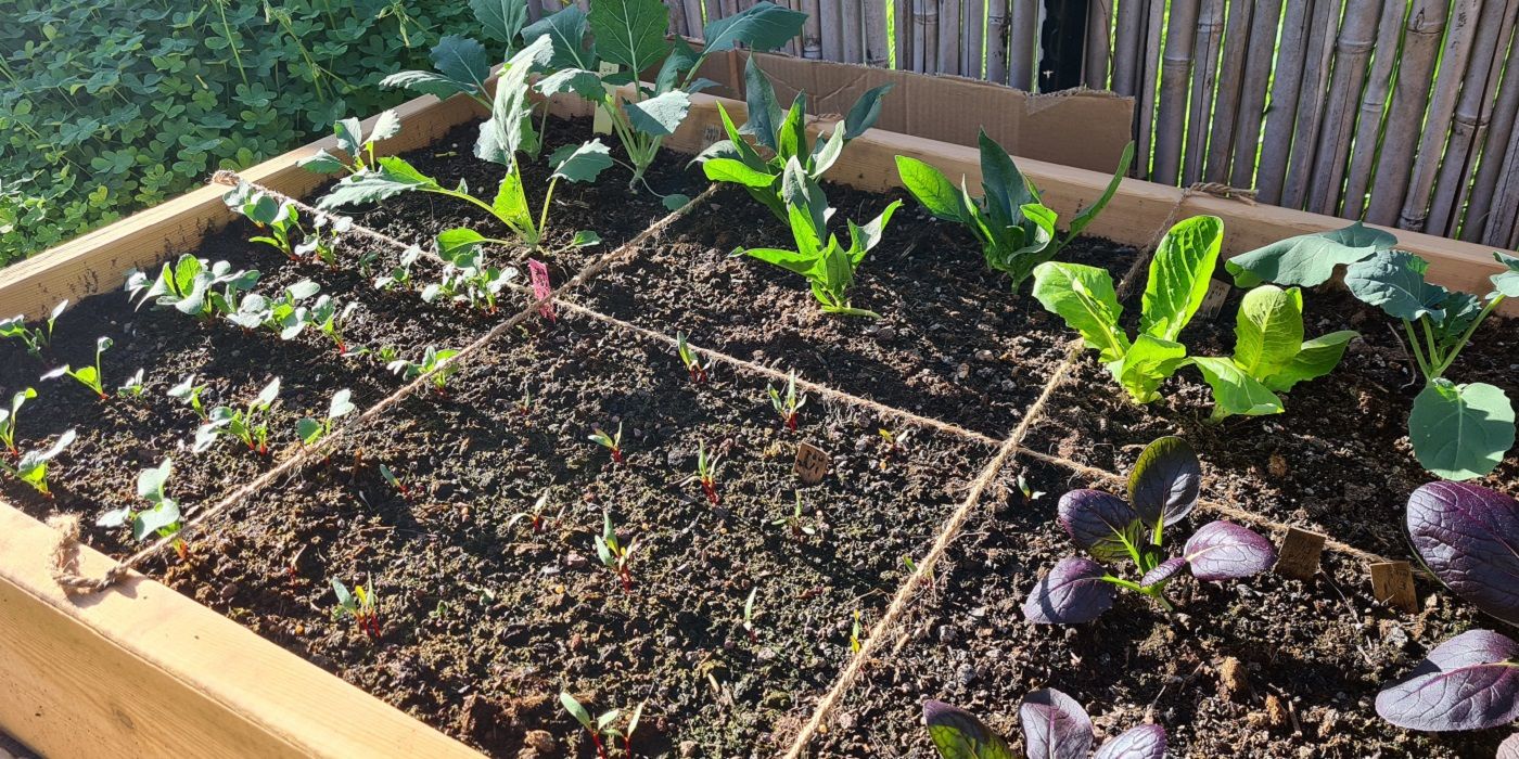 Try an Easier Way to Garden: No Dig, No Till