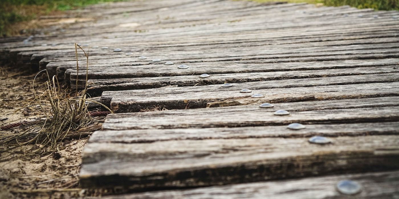 Beyond the Ordinary: 9 Creative Garden Path Ideas