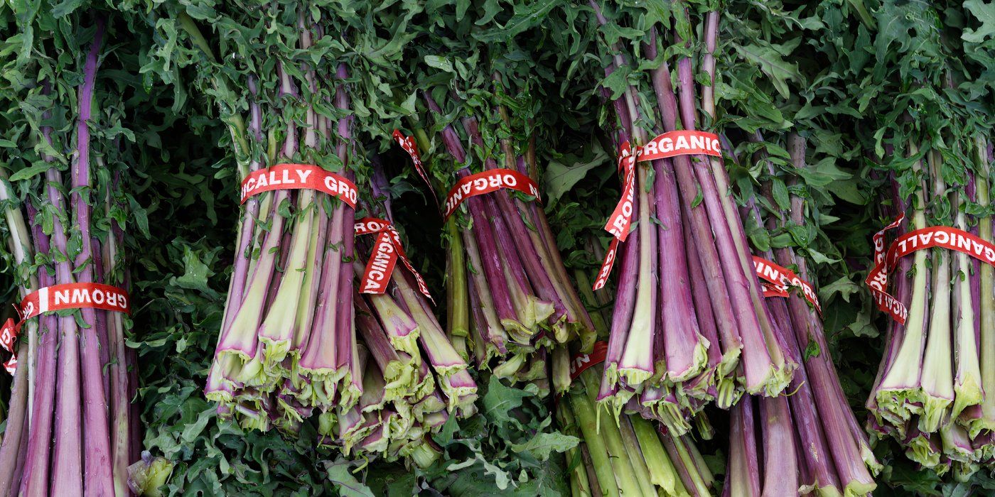 7 Edible Plants: Learn About the Benefits of Foodscaping