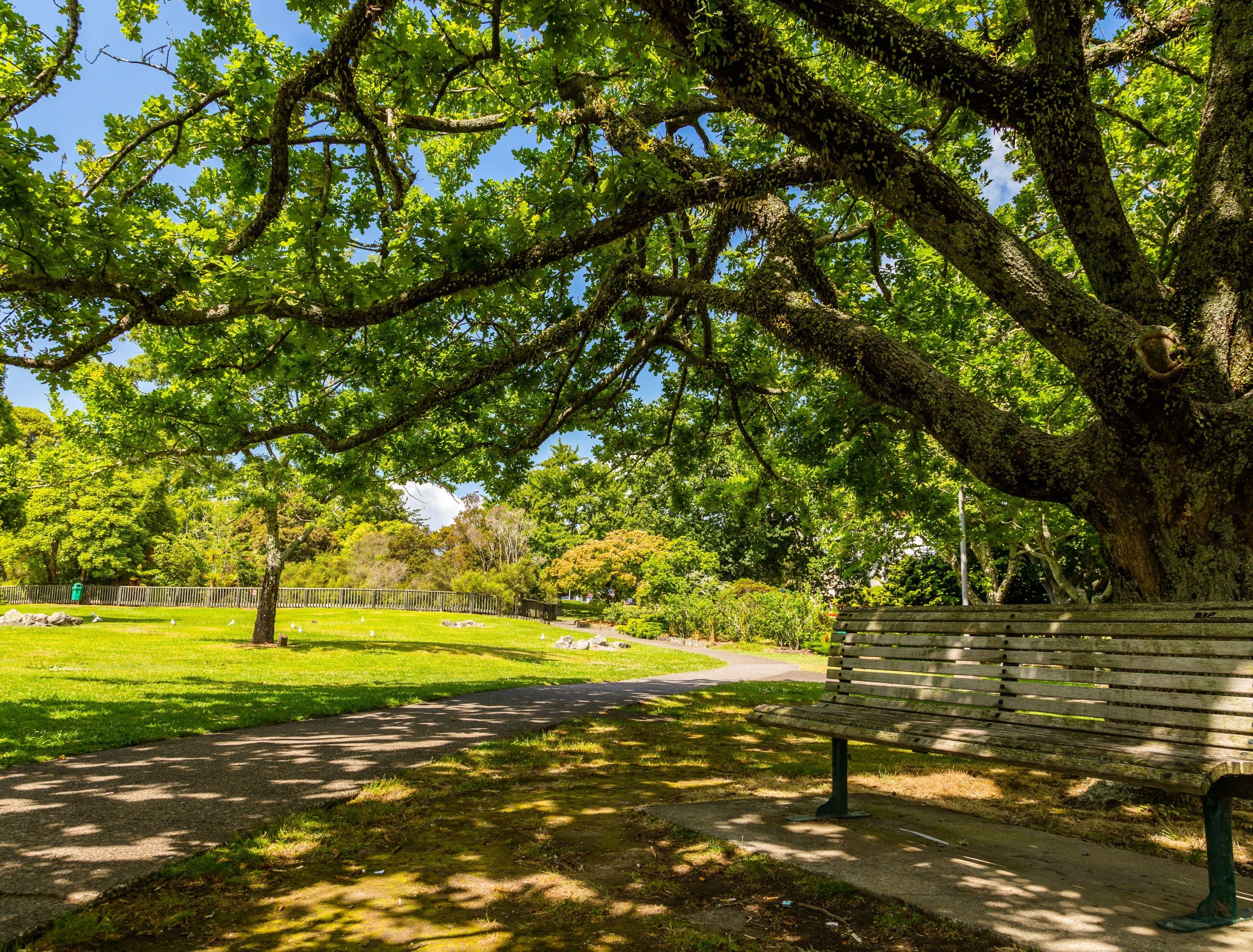 How To Turn Your Lawn Into A Wildflower Meadow