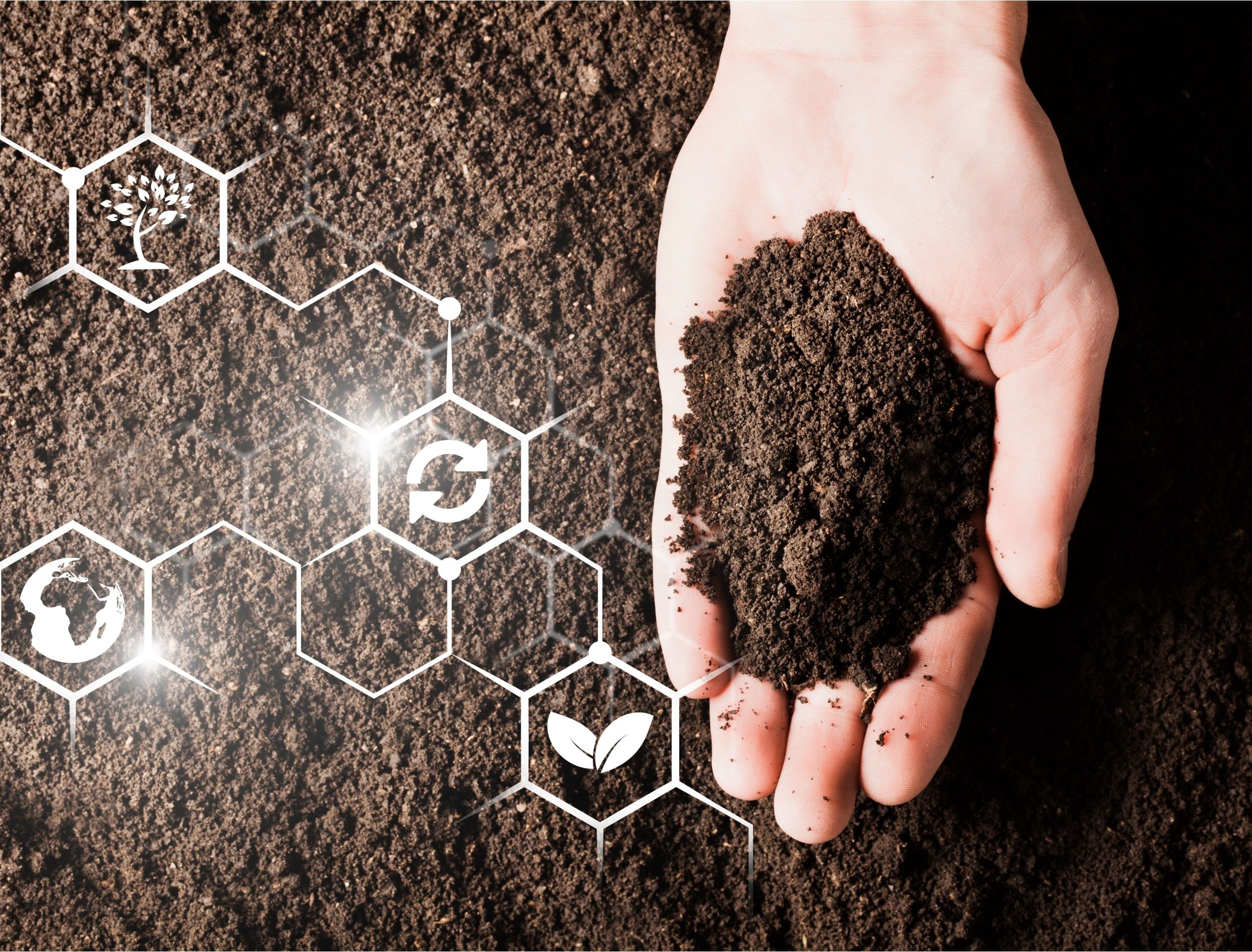 Is Poor Soil Structure Affecting Your Garden?