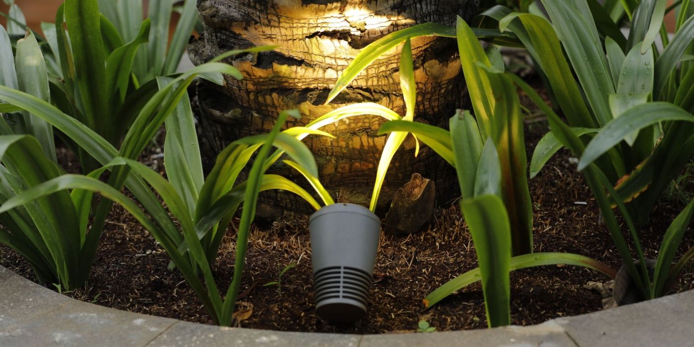 Stunning Landscaping Ideas for Around Your Trees