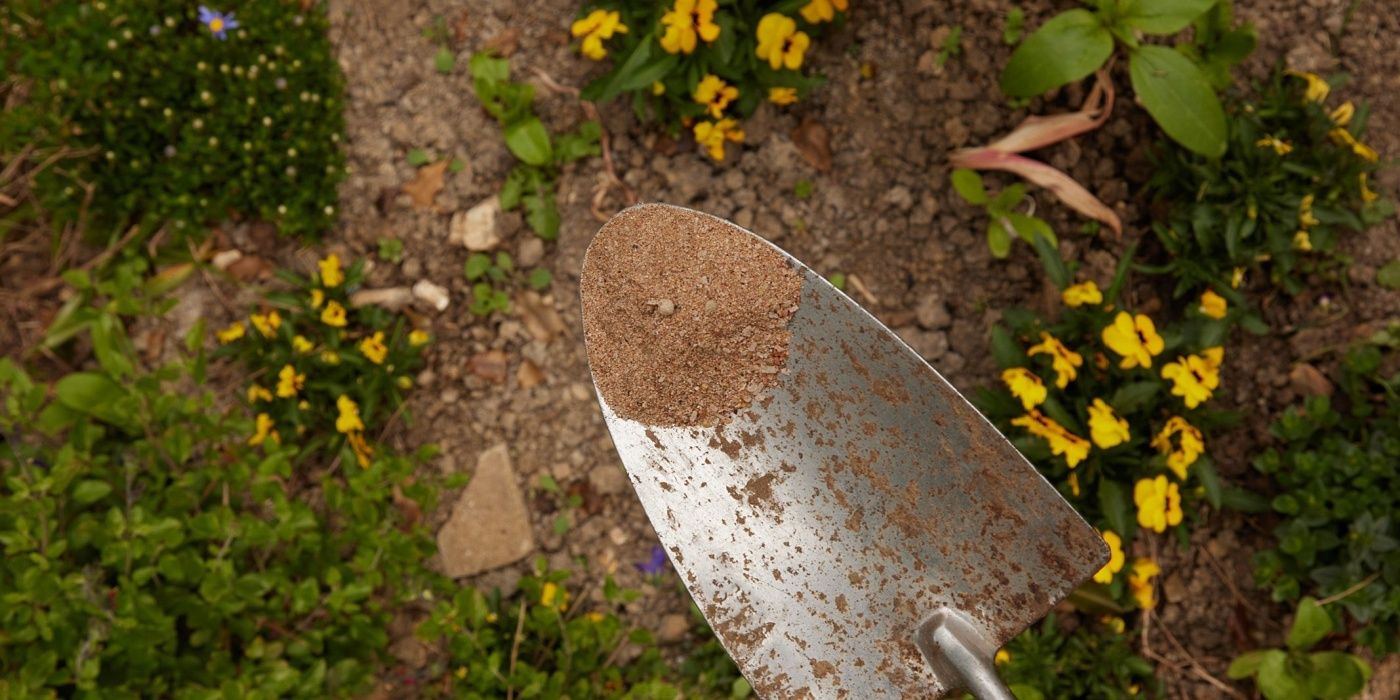 Top 6 Organic Fertilizers to Enrich Your Garden