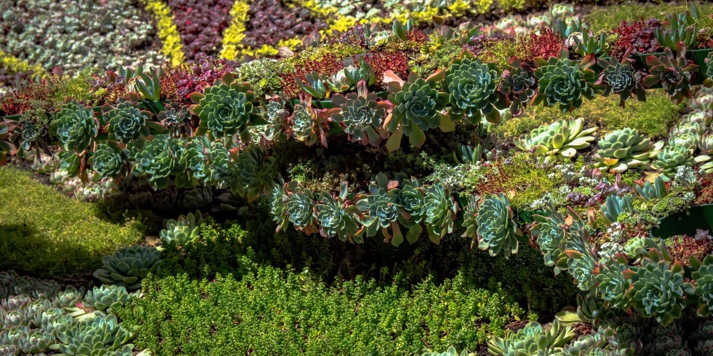 How Was the Giant Flower Clock in Edinburgh Made?
