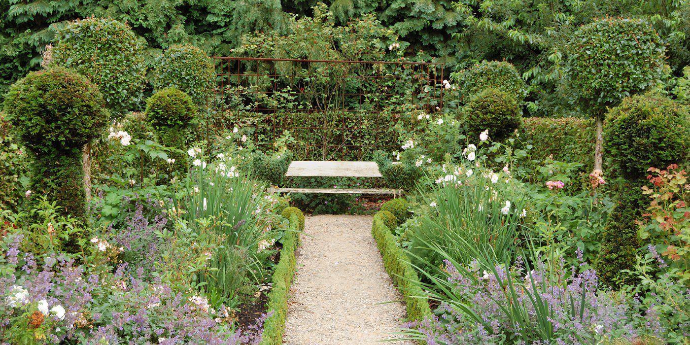 Mastering Garden Layout: Strategic Plant Placement Tips