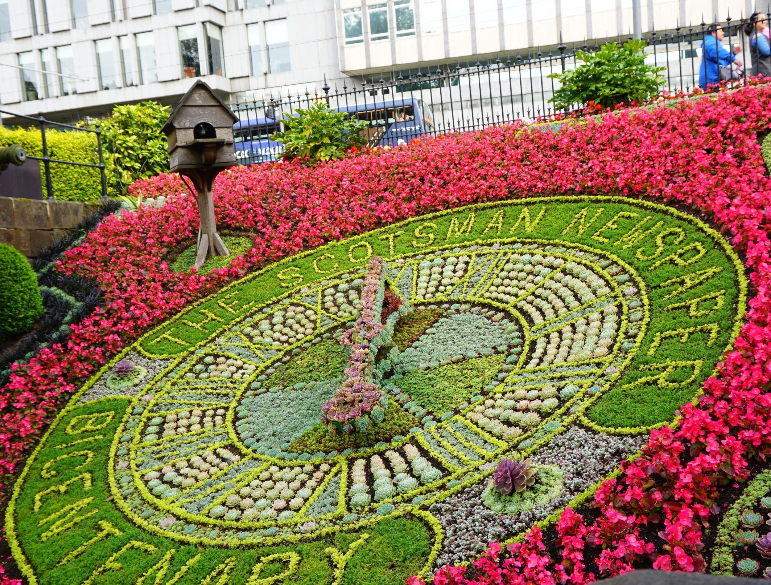 9 Tips For Harvesting Onions