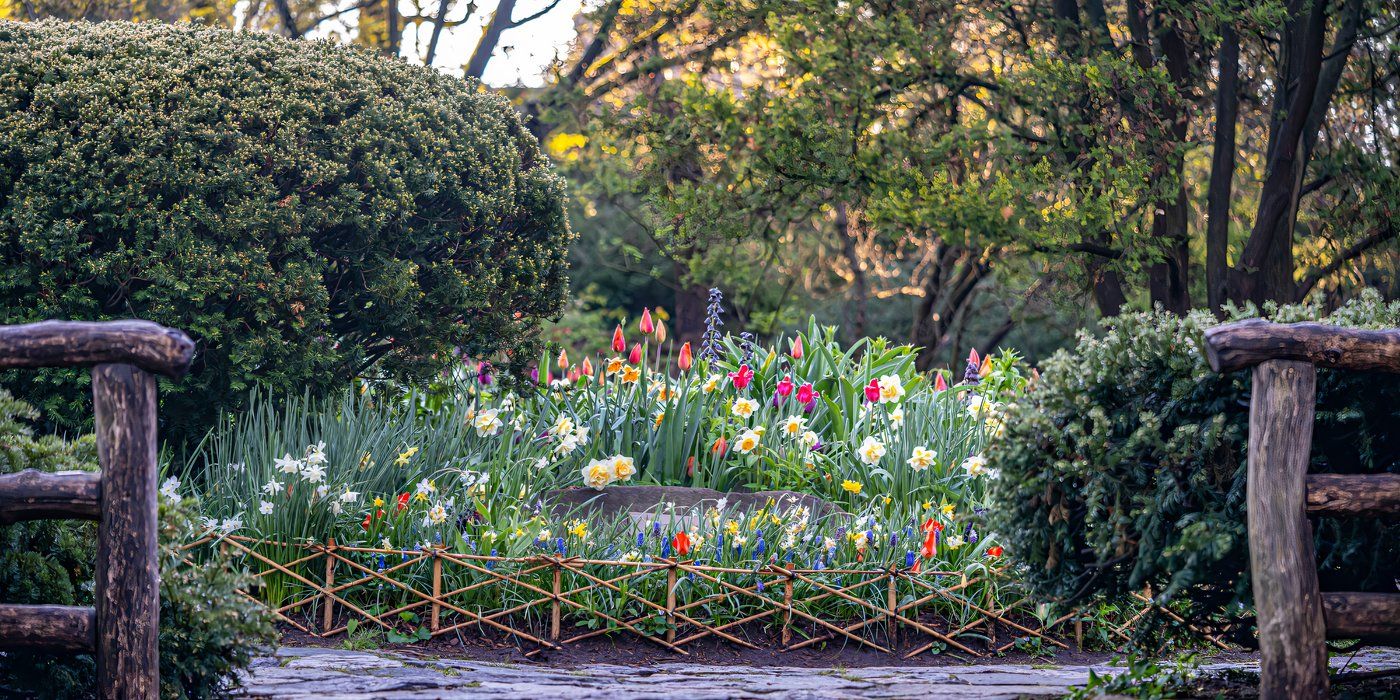 5 Secret Gardens: Discover Hidden Gems Around the United States