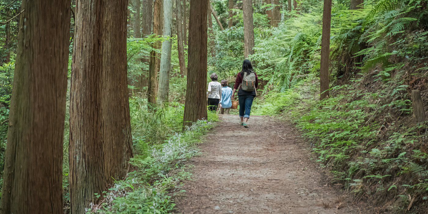 How to Design a Vibrant Forest Backyard
