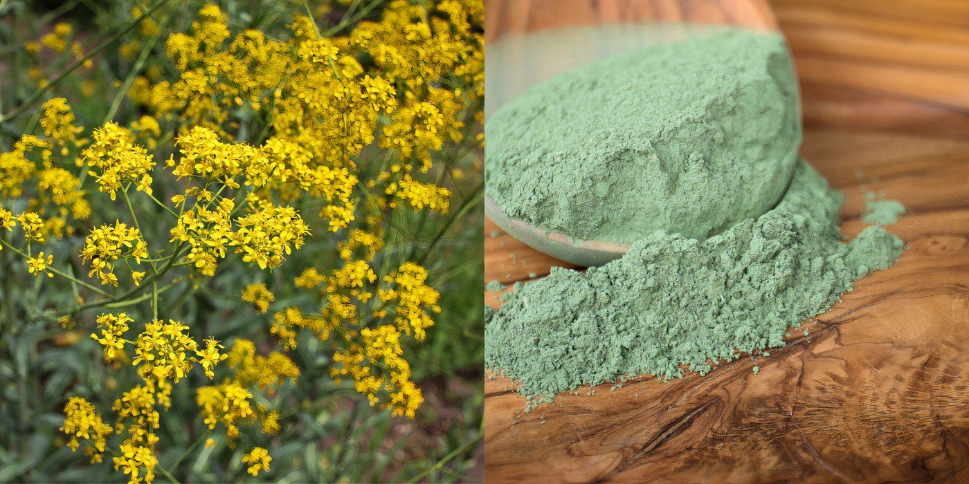 Natural Plant Dyes: Create a Dye Garden in Your Backyard