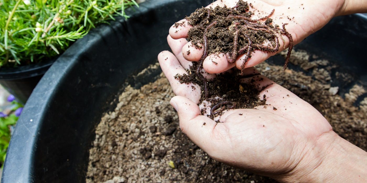 Compost Faster: 5 Surprisingly Simple Tips to Try