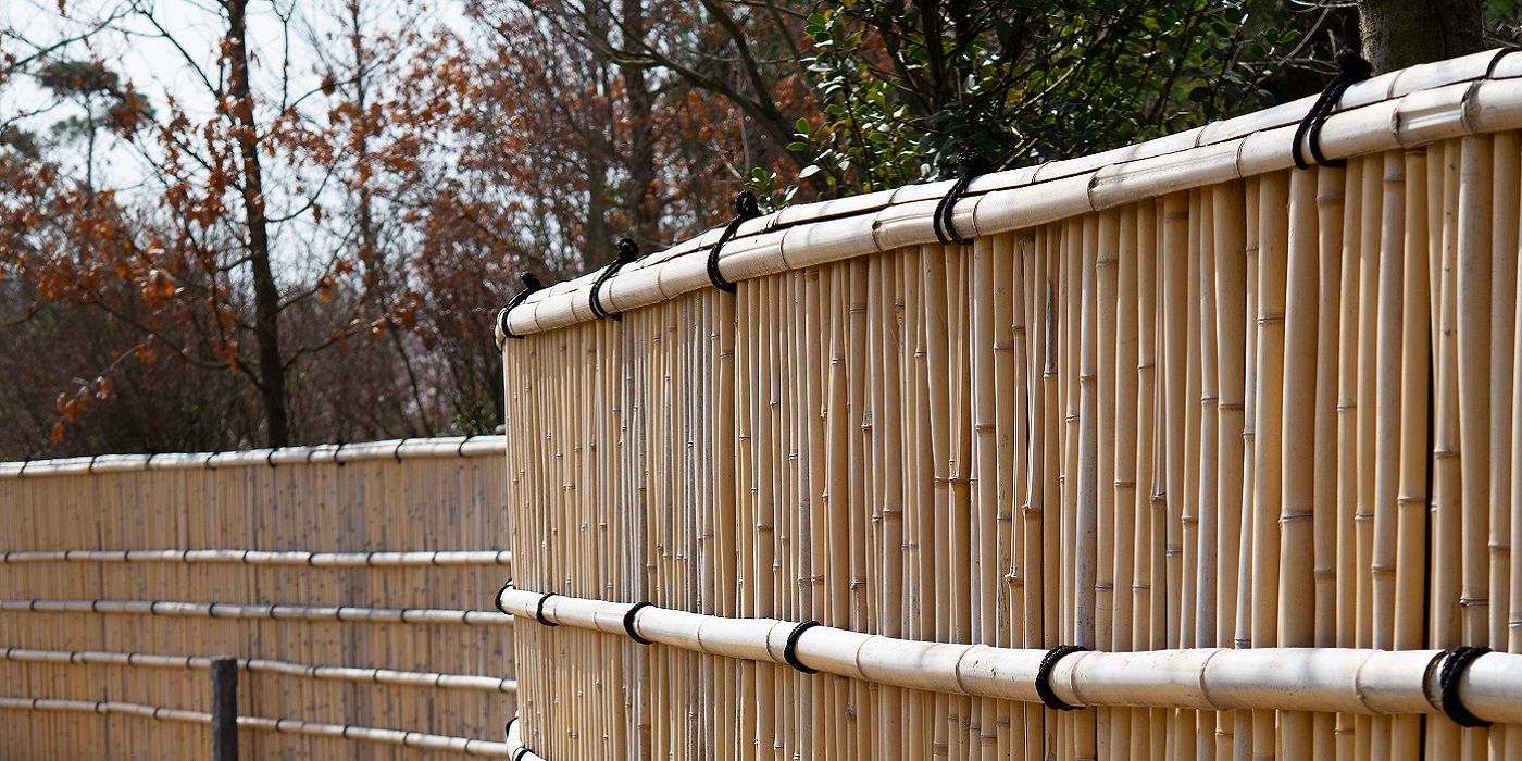 Choose a Fence Design For Your Pool That Will Shine