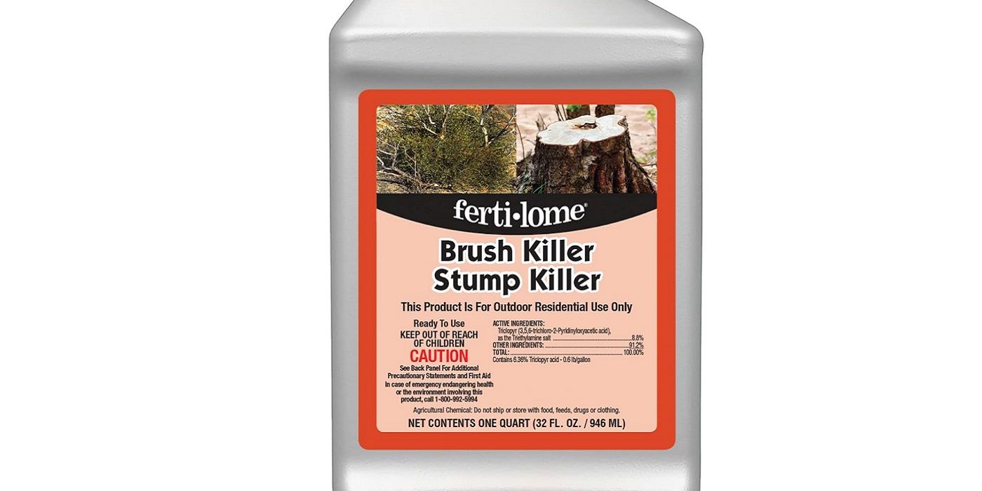 Find the Best Way to Get Rid of Tree Stumps